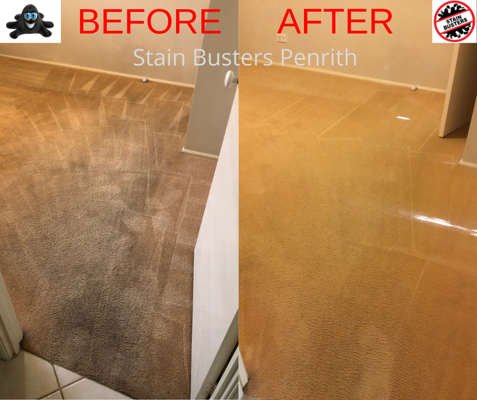 Stain Busters - Nepean Business Network